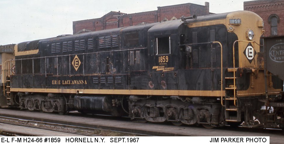 Chihuahua del Pacifico profile